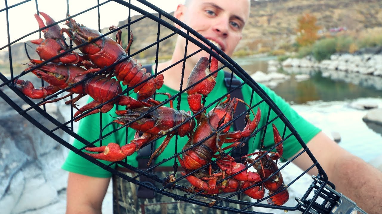 Roasting Crawfish Over an Open Fire! - YouTube