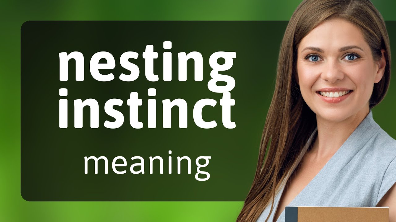 Understanding the "Nesting Instinct" - YouTube