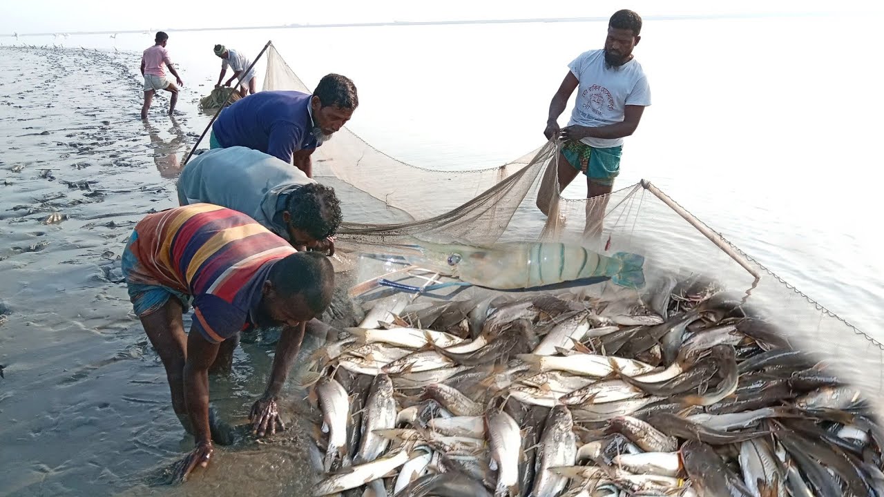 Most Unique & Best Tangra (টেংরা) Fishing In River।। Amazing Tangra ...