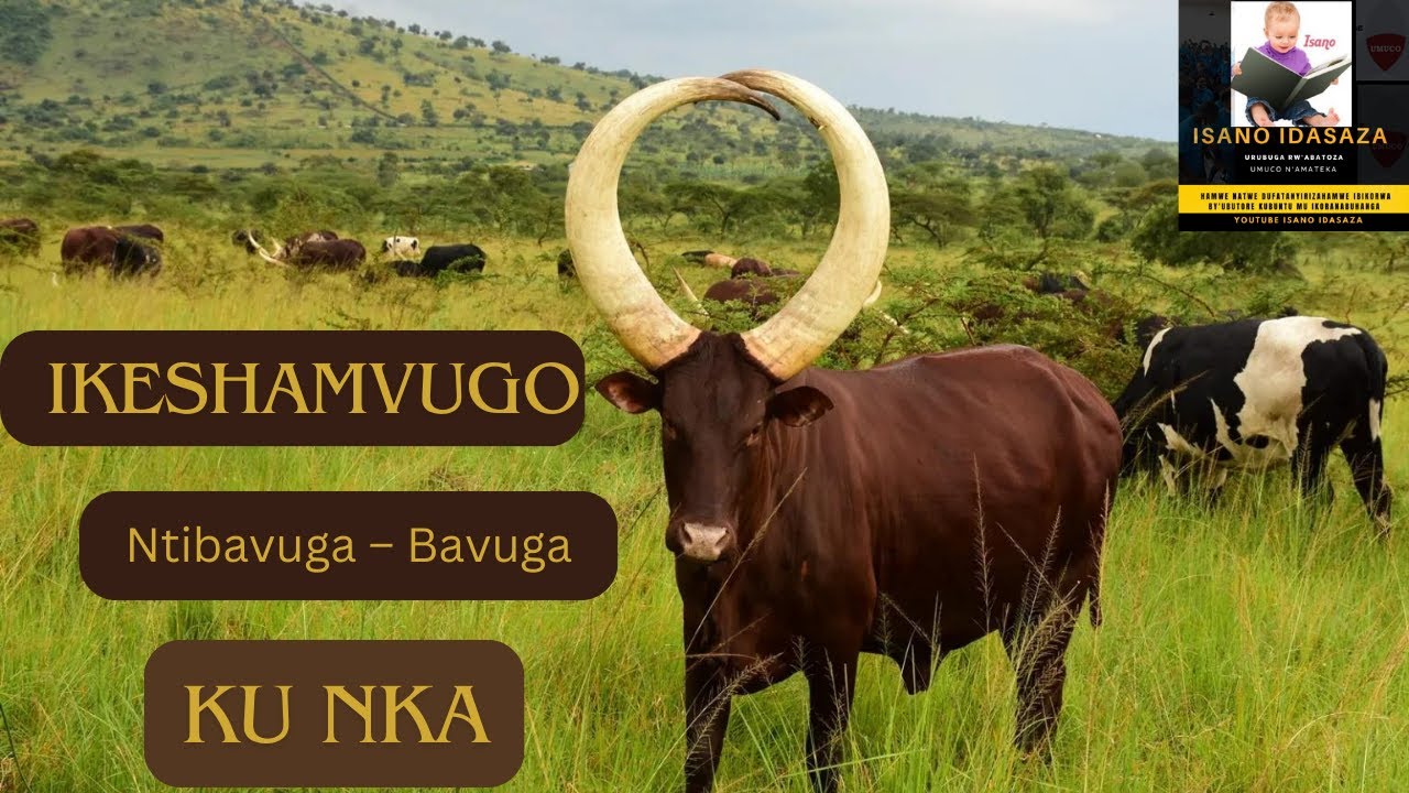 IKESHAMVUGO (Ntibavuga – Bavuga) Ku Nka(Rwandan Culture) - YouTube