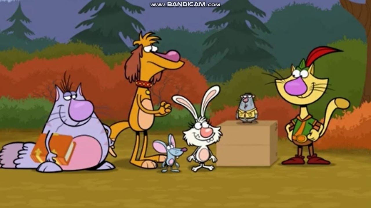 Nature Cat Total Eclipse Of The Sun (Part 1) - YouTube