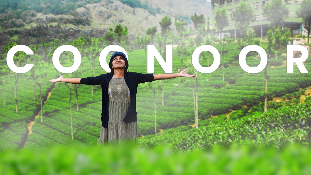 Coonoor High Field Tea Estate | Oil Factory | Chocolate Factory ...