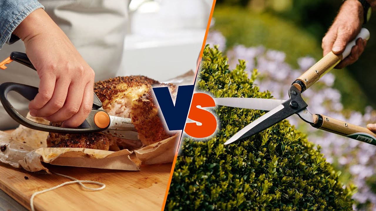 Shears vs Scissors: Cutting Tool Guide | All You Need To Know! - YouTube