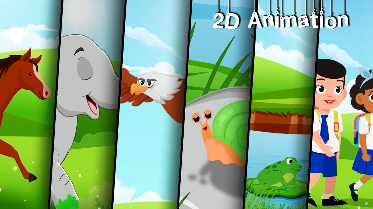 Wall Cycle 2D Animation | Detailed Overview & Explanation - YouTube