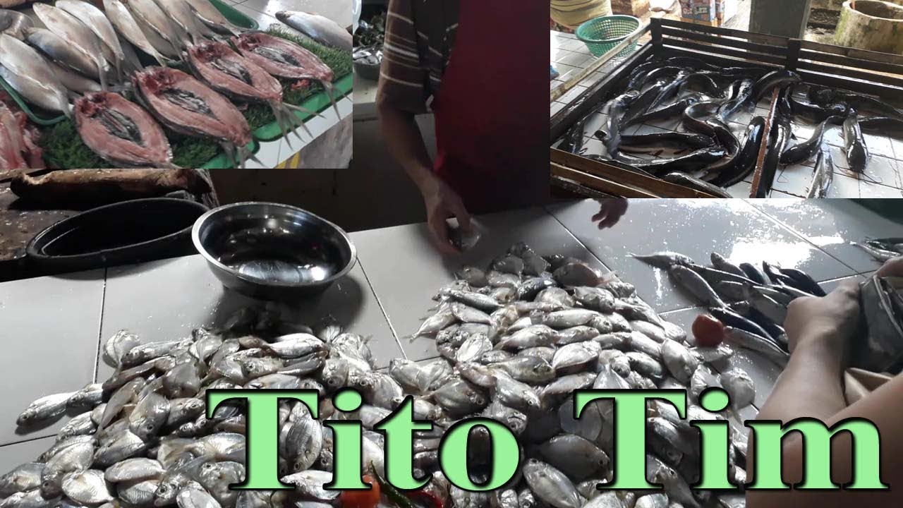 Oton Market Day - Lots of Fish, Iloilo Philippines - YouTube