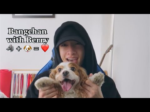 Bangchan with his dog Berry 🐺 + 🐶 = ❤️