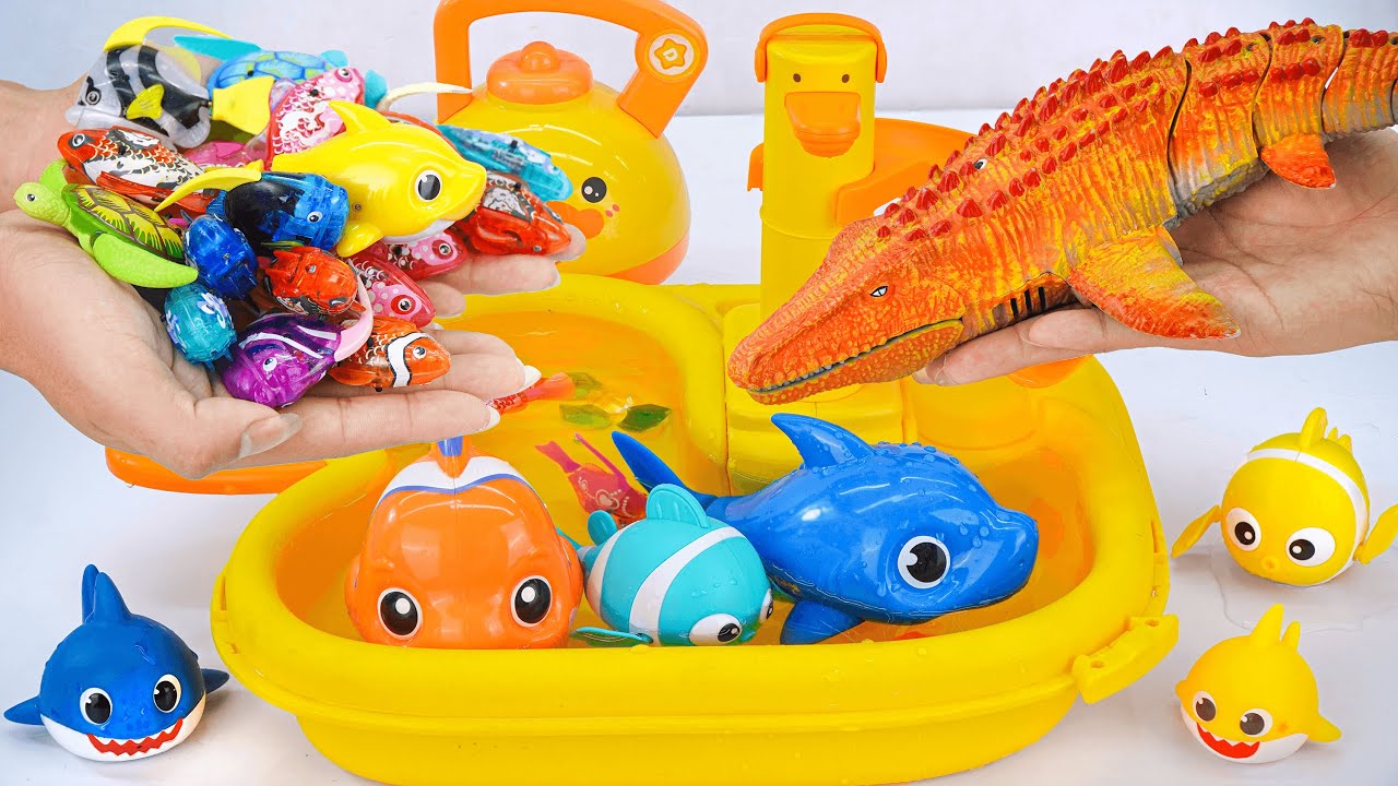 [Toy asmr] RC Mosasaurus & Gold Shark & Zuru Fish & Yellow Aquarium ...