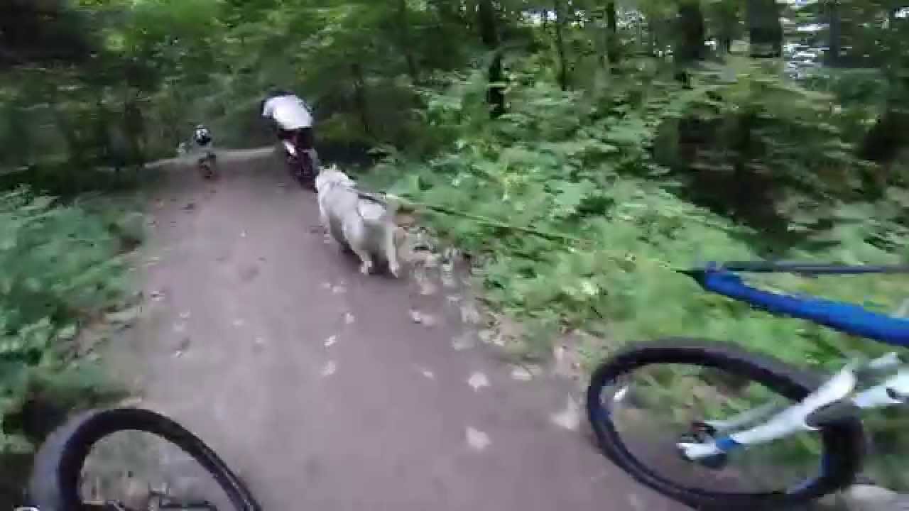 Bear Hill Path - Morning Mush Series - YouTube