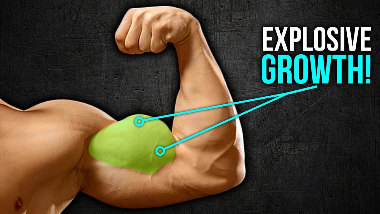 4 KILLER Biceps Exercises That You Probably Haven't Tried (MUST TRY ...