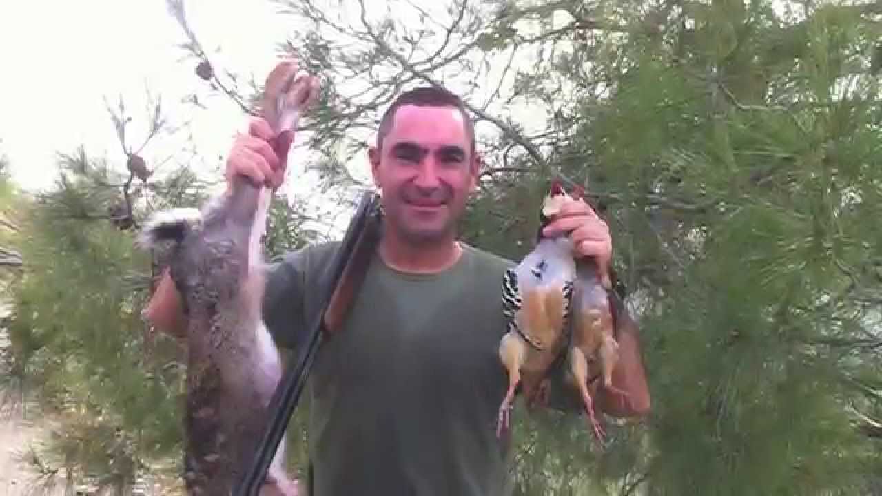 Κυνηγι Στην Κυπρο - German Pointer !!! - YouTube