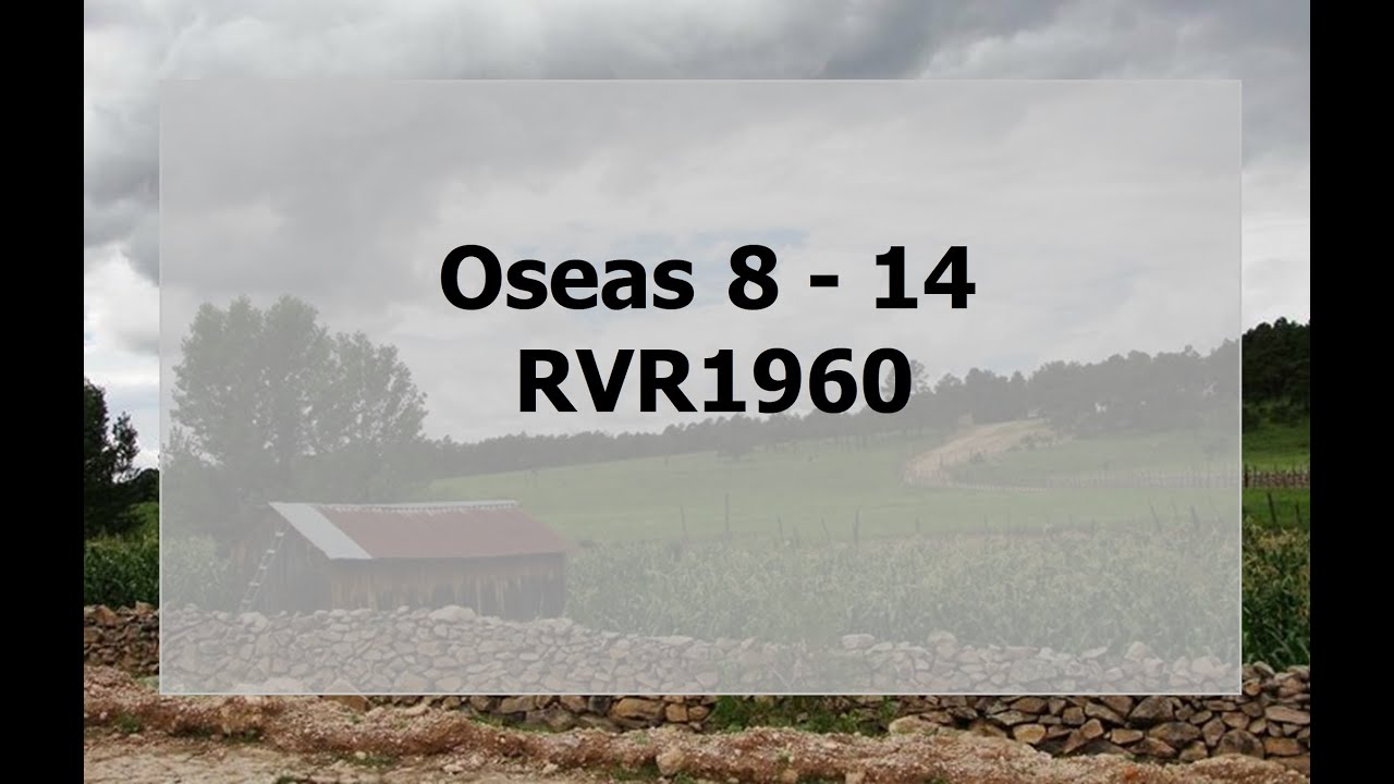 La Biblia hablada / Oseas 8 - 14 - YouTube