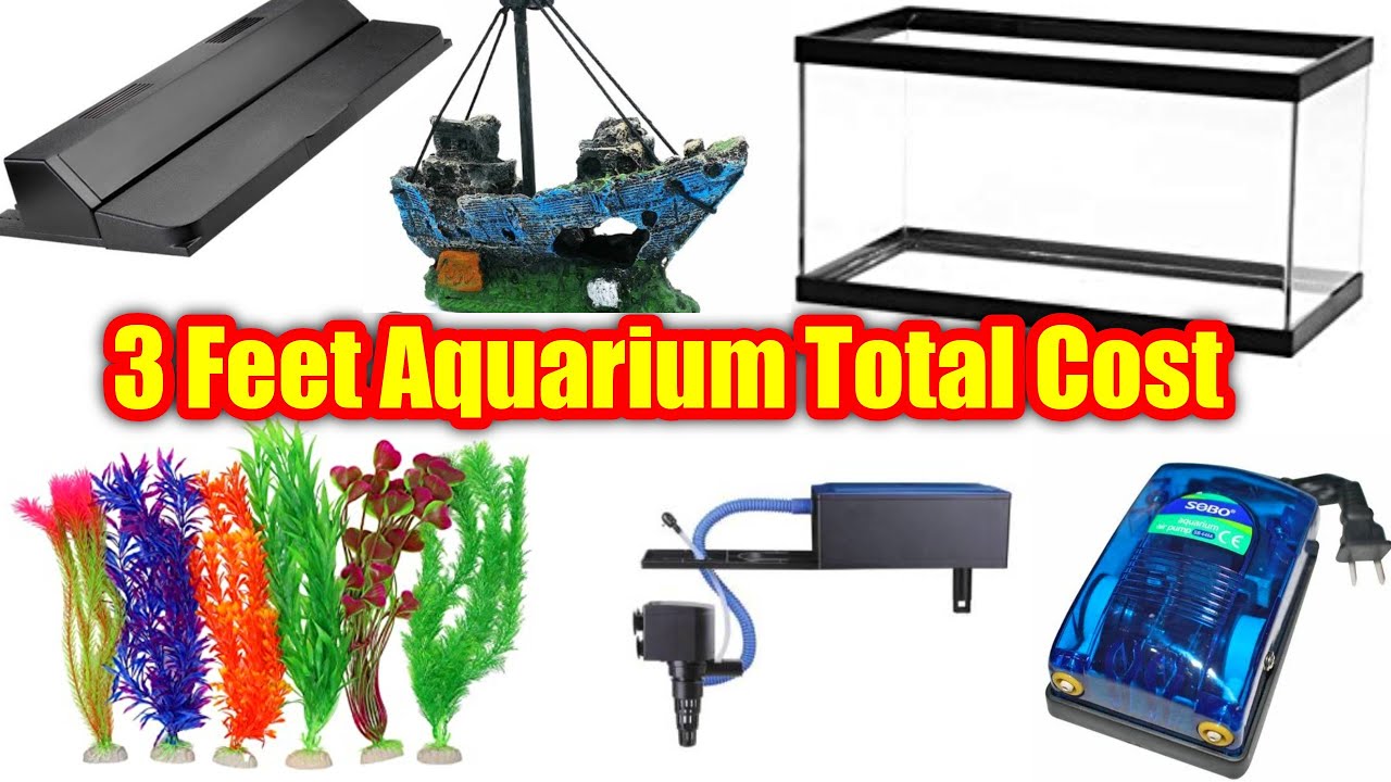 3 Feet Aquarium Total Cost With All Price Details | 3 Feet Aquarium ...