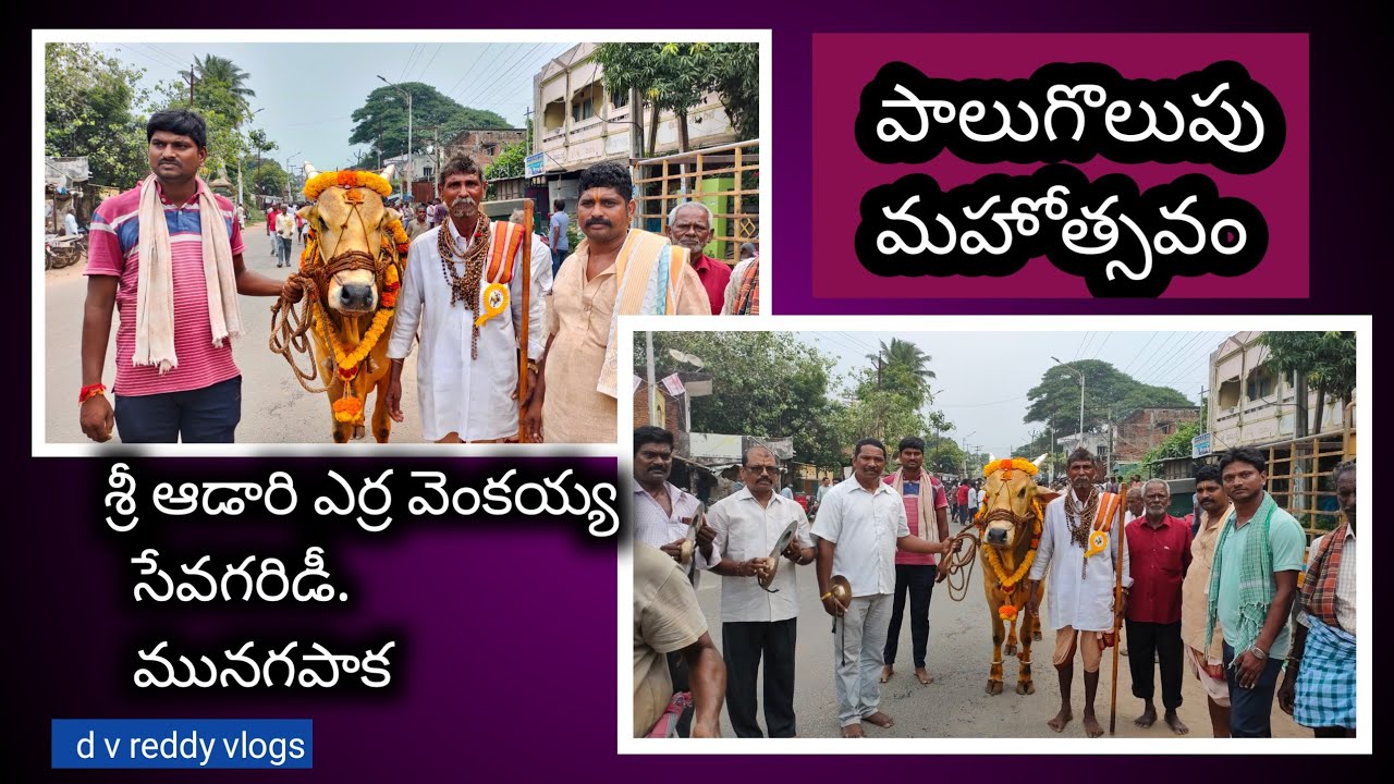 మునగపాక పాలుగొలుపు మహోత్సవం 🙏🙏||d v reddy vlogs ||bhakti ||seva - YouTube