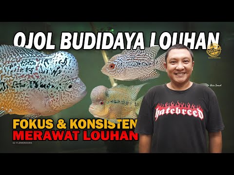 4 Tahun dari Ojol ke Juara Internasional: Kilatnya Karir Bang Elvin EZ Flowerhorn