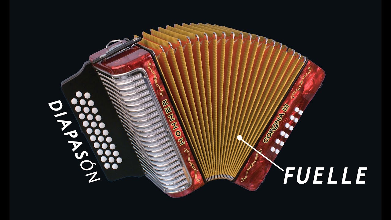 PARTES DEL ACORDEÓN DE BOTONES - YouTube