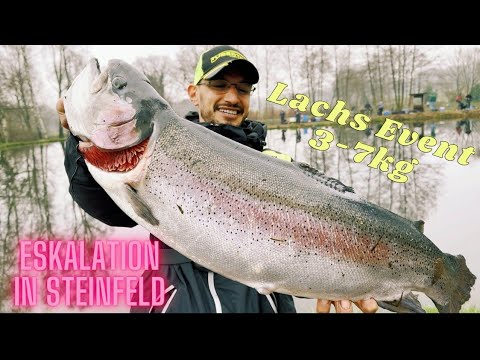 XXL lachsforellen im Frühling in Steinfeld // mit spoon Gummi und ...