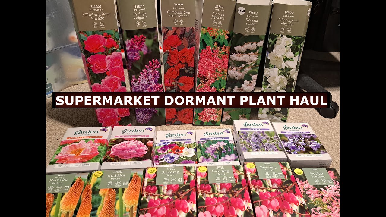Dormant Bareroot Plants at Great Prices! - YouTube