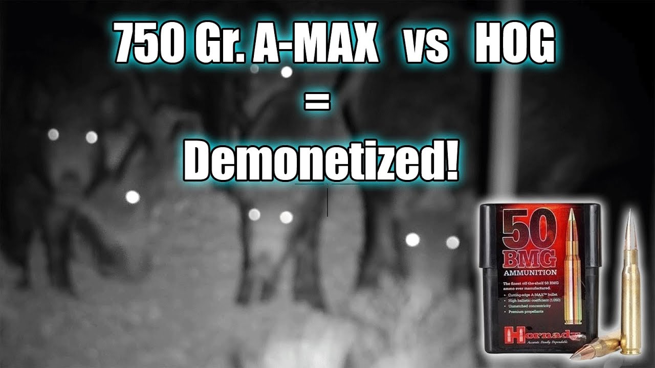 Hog Hunting with the 50 BMG! 750 grain Hornady AMAX = Total Devastation ...