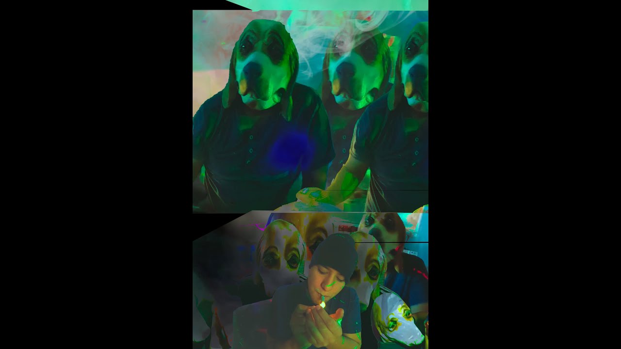 Mr Malk - Hachi Hachi (video oficial 4k) - YouTube