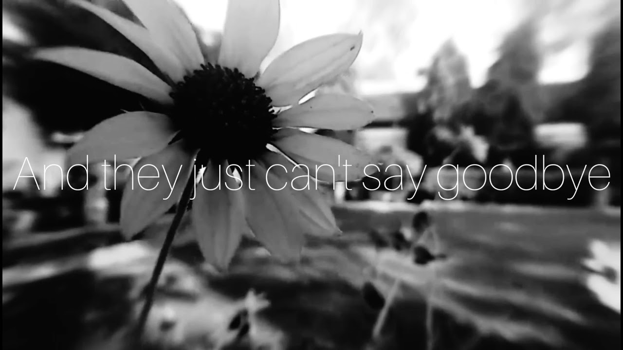 Apocalypse - CAS | Lyrics - YouTube