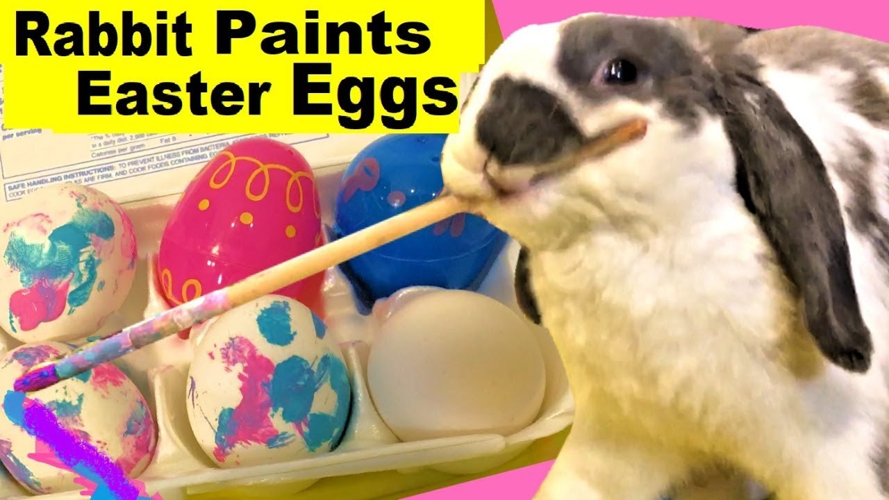 REAL BUNNY decorates his own Easter eggs - Happy Easter from Bini the ...
