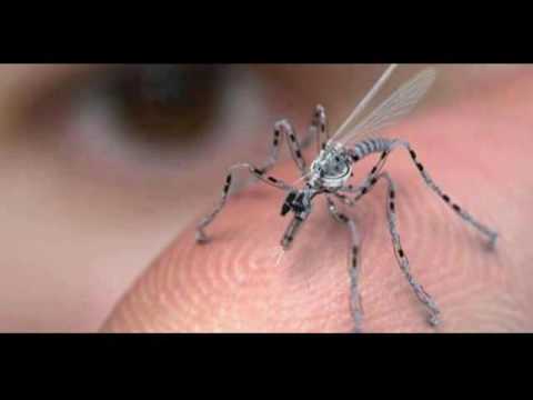Secret Insect Spy Drones - YouTube