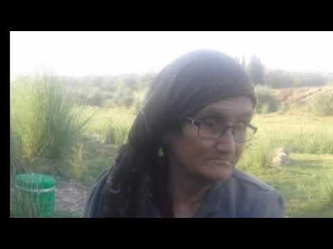 Dayê Tû çû bi min re man xeyal gotinên te yên şêrîn bi min re bûn heval جانيار