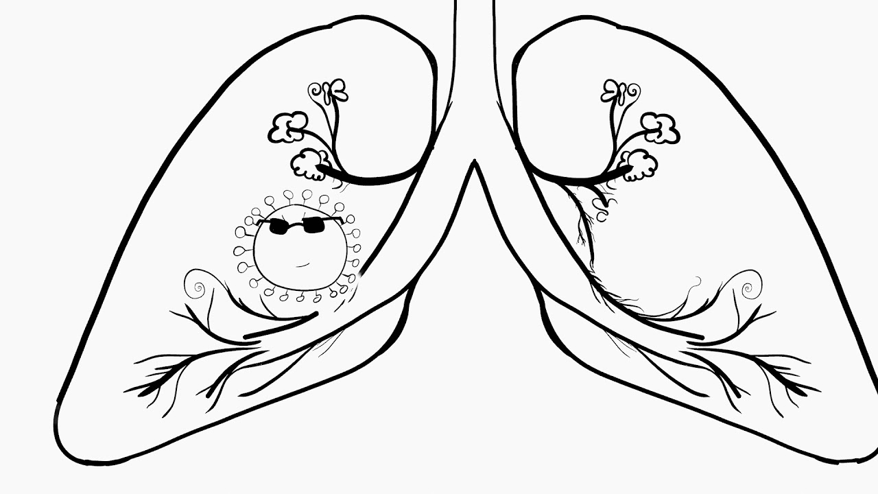 The Life of a Virus - 2D Blender Animation - YouTube