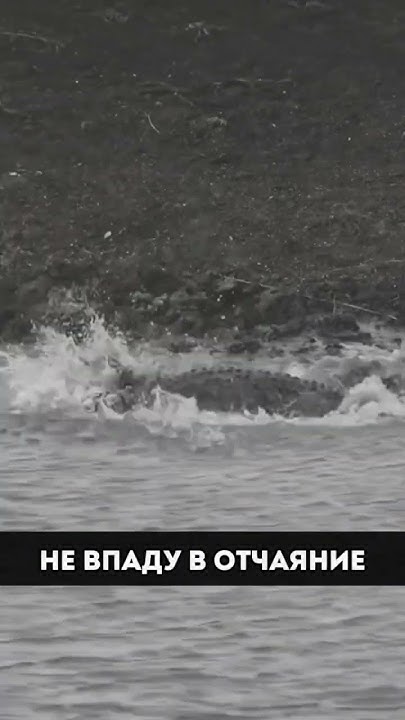 «Никогда не сдаваться мотивация саморазвитие успех Youtube