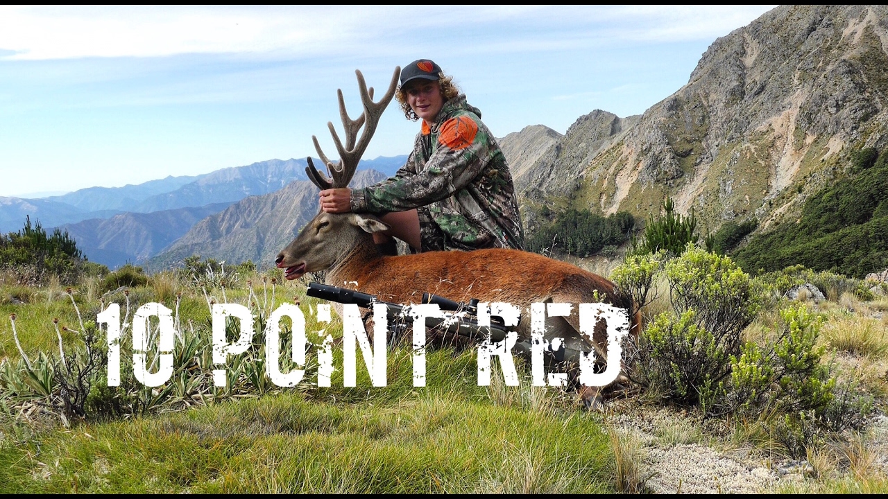 Zac's 10 Point Red Stag | Hunting on Public Land | New Zealand - YouTube