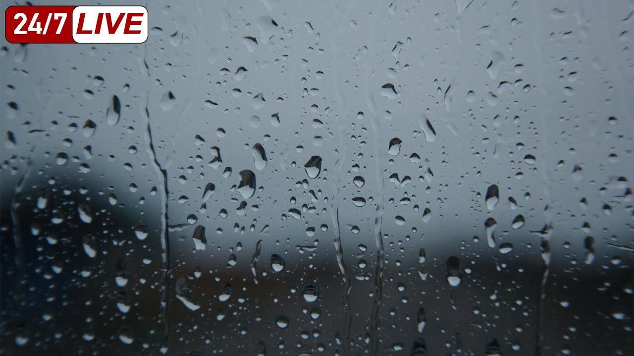 🔴 Live Rain 24/7 - Rain Sounds for Sleeping - Sleep Fast and Beat ...