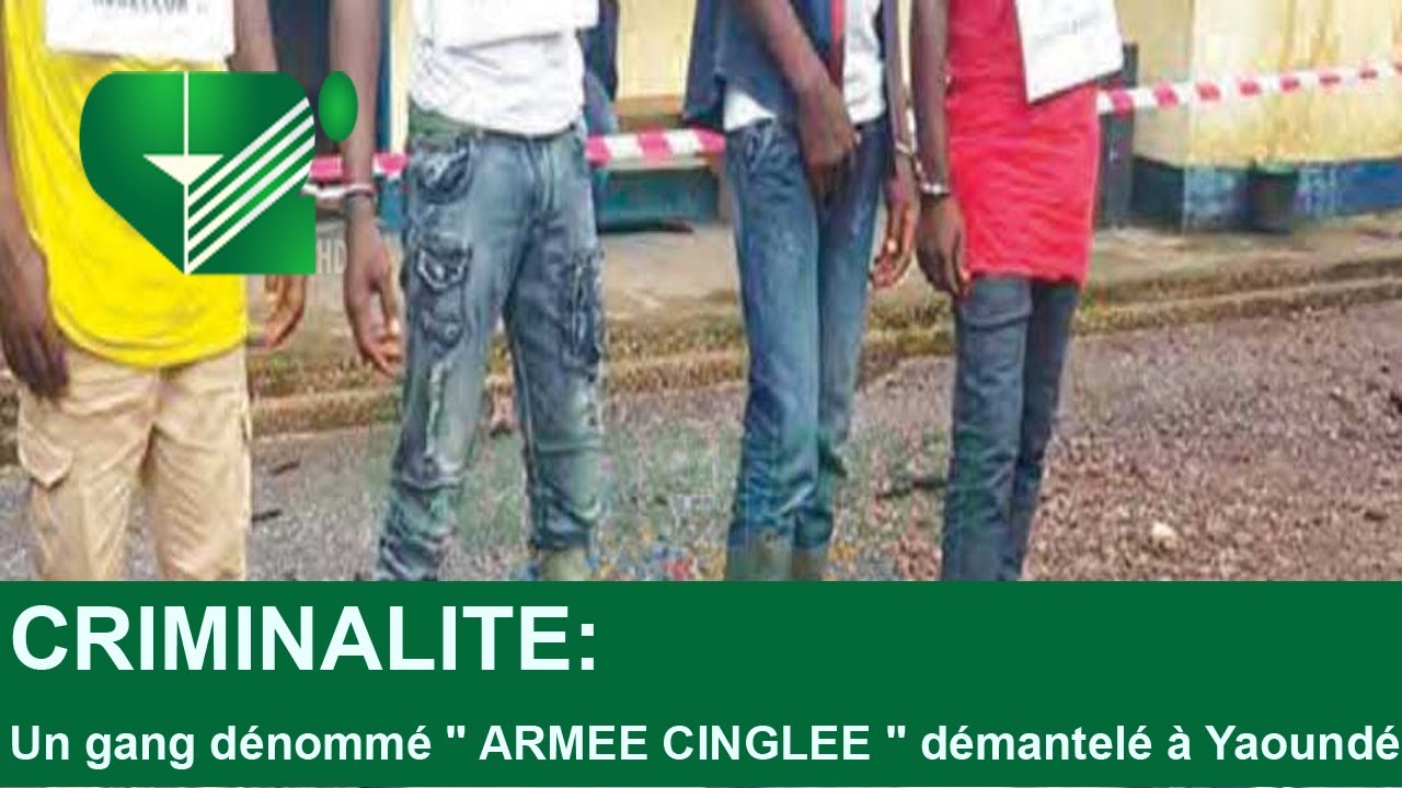 CRIMINALITE: Un gang dénommé " ARMEE CINGLEE " démantelé à Yaoundé ...