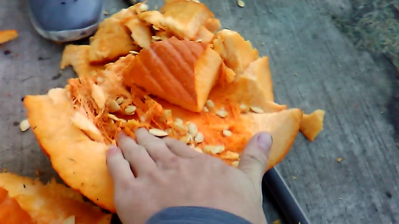 How to dissect a pumpkin "perfectly" - YouTube