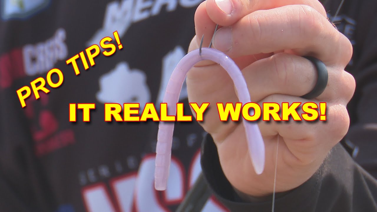 Wacky Rig In The Fall | Bass Fishing - YouTube