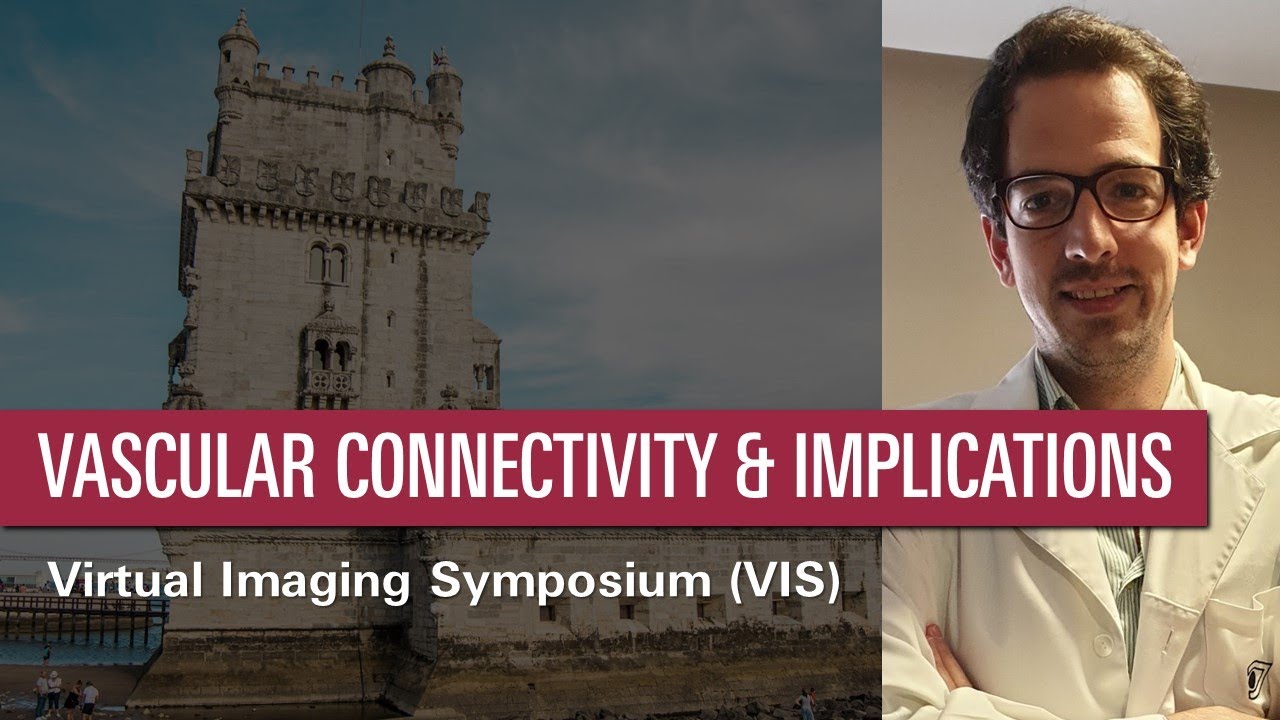 High-Res OCT: Vascular Connectivity & Implications for Vascular ...
