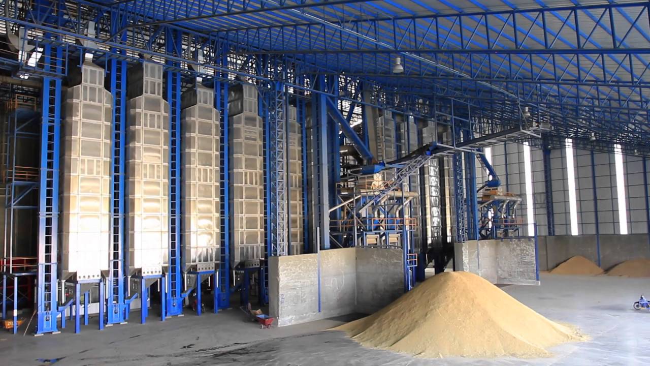 SIAM GOLDEN RICE - YouTube