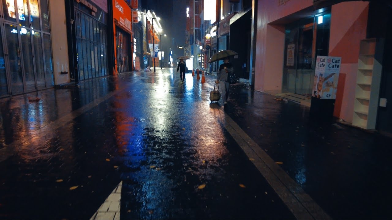 [4K] super heavy rain at dawn - YouTube