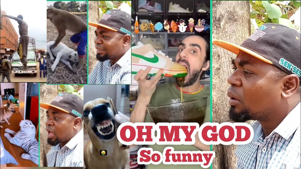 SO FUNNY, SO HILARIOUS VIDEO CLIPS FOR ENTERTAINMENT || this episode ...