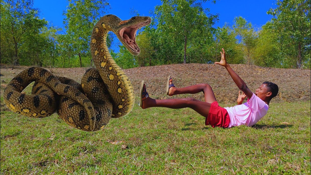 Anaconda Snake Attack Man in forest ll anaconda snake attack part -6 ...