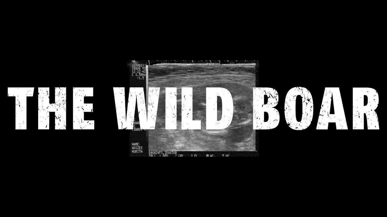 The Wild Boar (Teaser 6) - YouTube