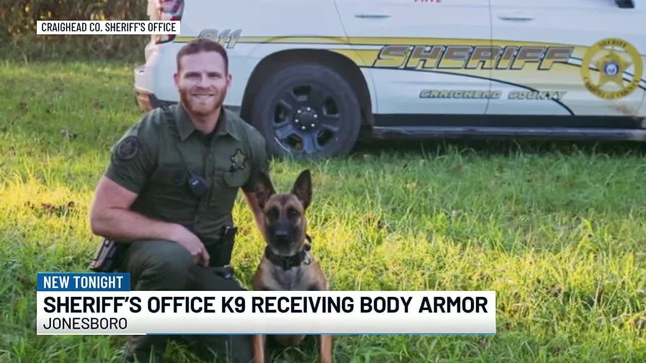 Sheriff's office k9 receiving body armor - YouTube