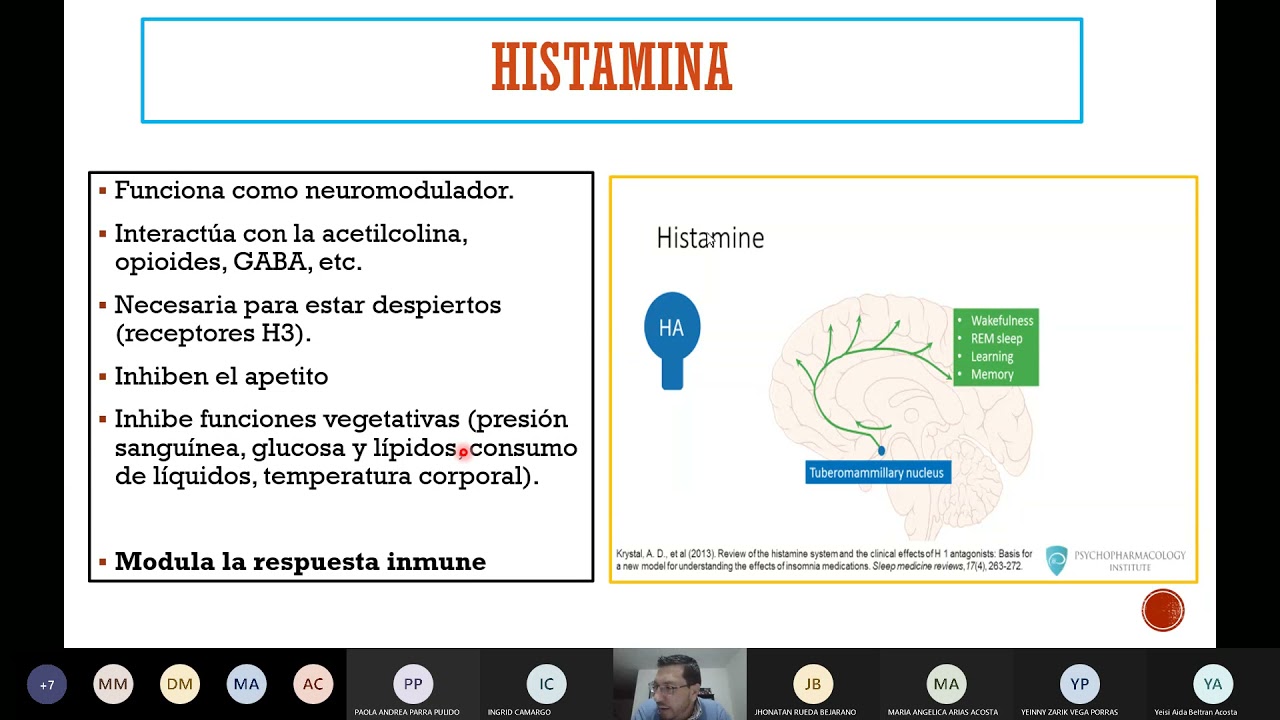 Histamina - YouTube