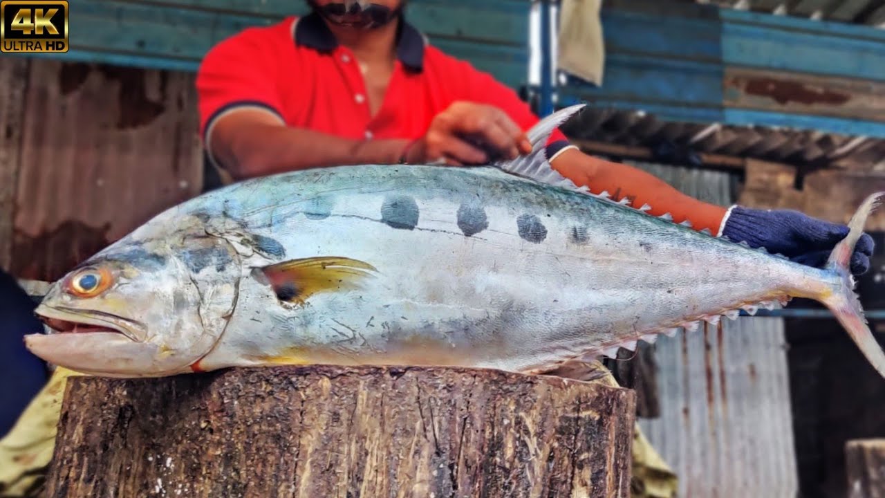 KASIMEDU 🔥 MR.ARUMUGAM | BIG SIZE QUEEN TREVALLY FISH CUTTING | 4k ...
