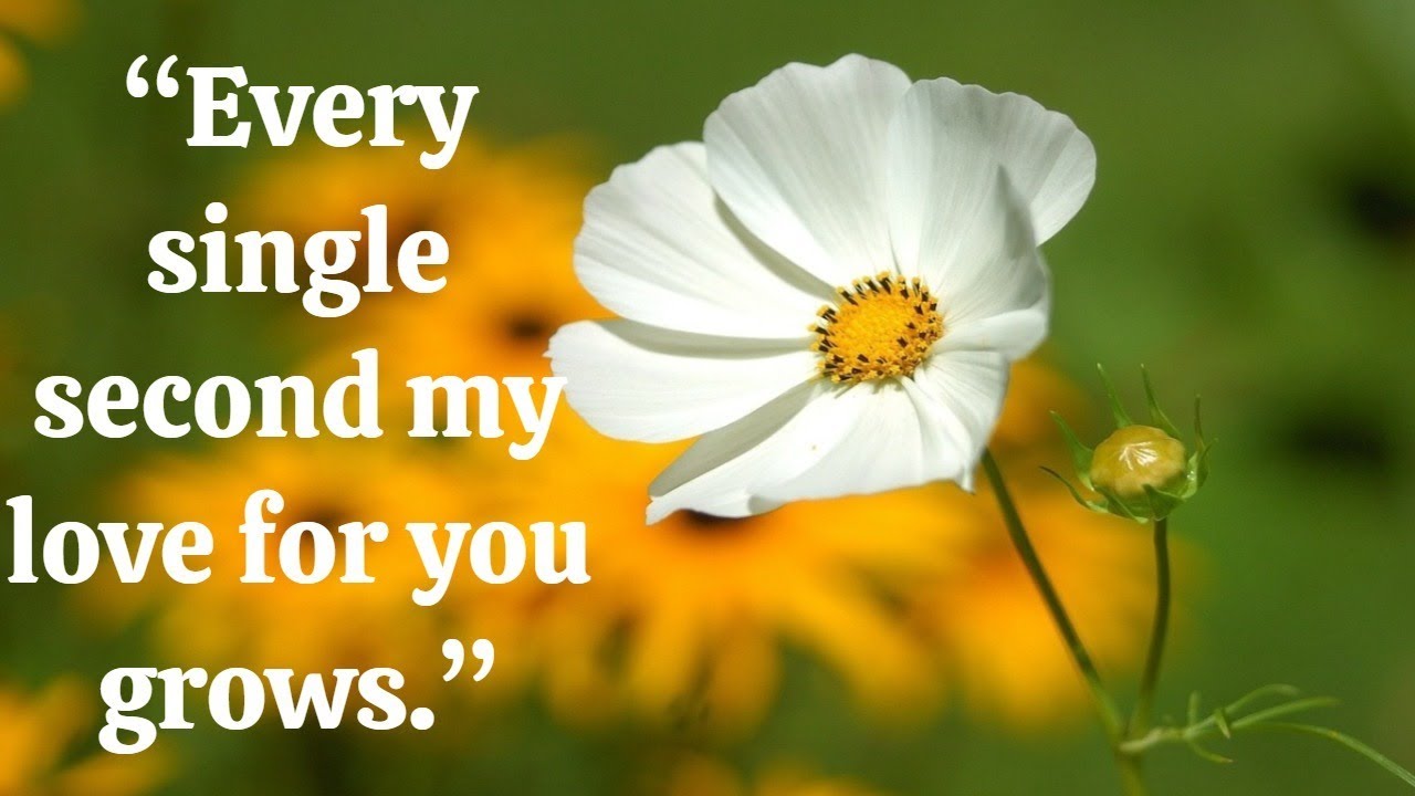 “Every single second my love for you grows ” - YouTube