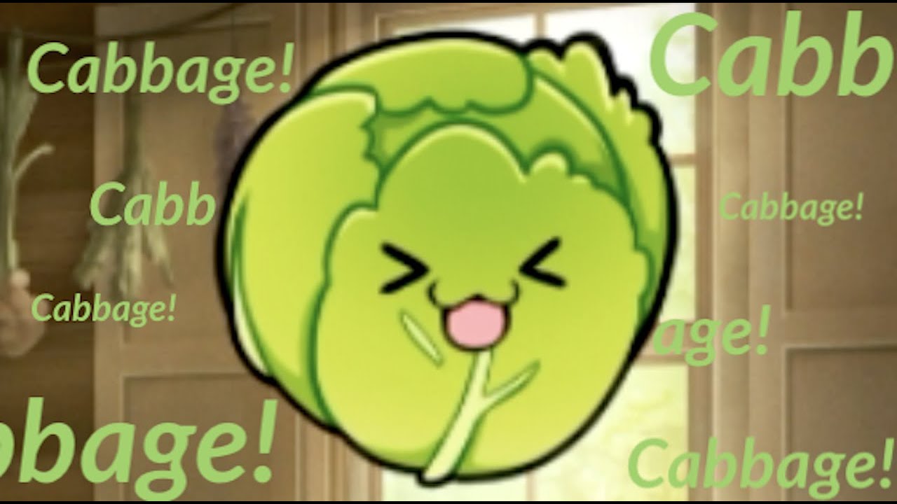 CABBAGE! - Cooking Companions Ep. 1 - YouTube