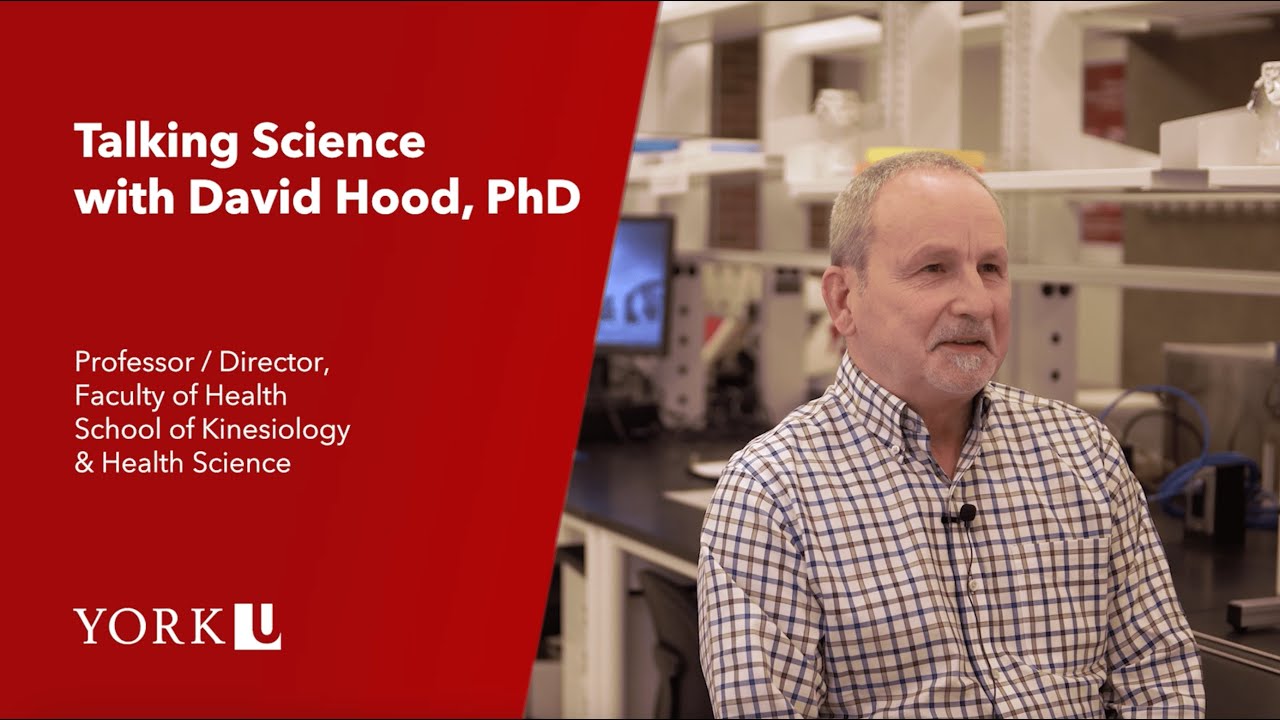 Excellence, Innovation, and Collaboration: A Day at the MHRC with David ...