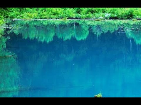 Amazing..! Putting Alum to Pond Water changing to Clean Water looking ...