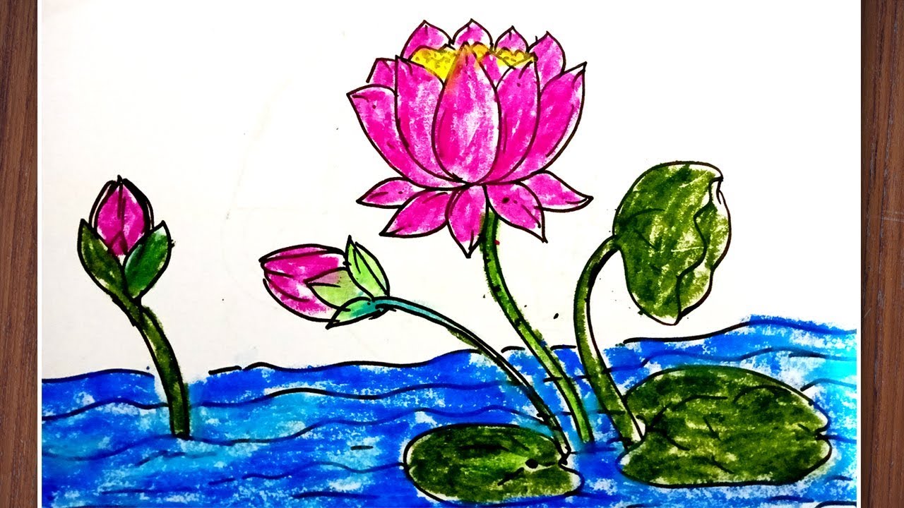 Coloring Lotus Flower | How to Coloring a Lotus in Easy Step by Step ...