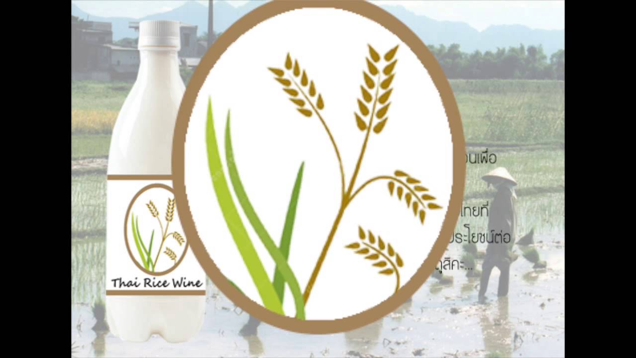 THAI RICE WINE - YouTube
