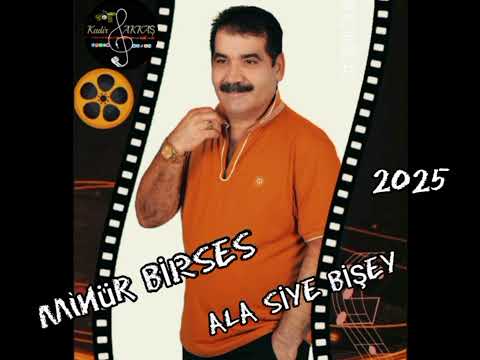 MİNÜR BİRSES.  ALA SİYE BİŞEY
